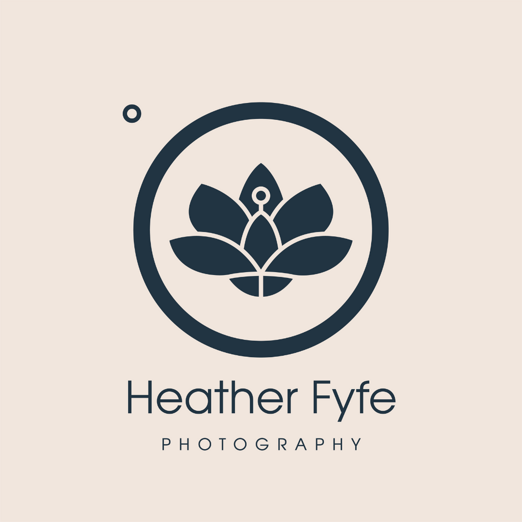 Stillness & Story – Heather Fyfe – bunny + bear